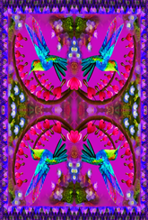 Jennifer Rothwell Design